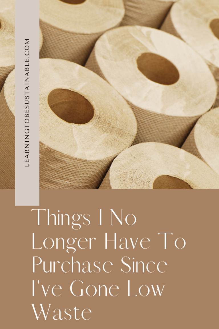 12 Things I No Longer Have To Purchase Since I've Gone Low Waste ...